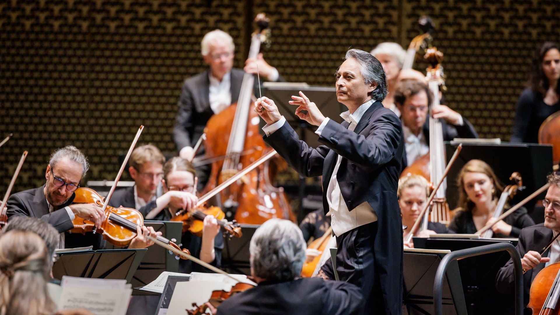 Brahms 1 — Residentie Orkest | Amare | huis voor cultuur, educatie ...